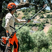 Power Pole Pruners - Power Pole Pruners - Chainsaws