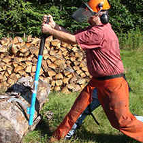 Forestry & Woodcutting