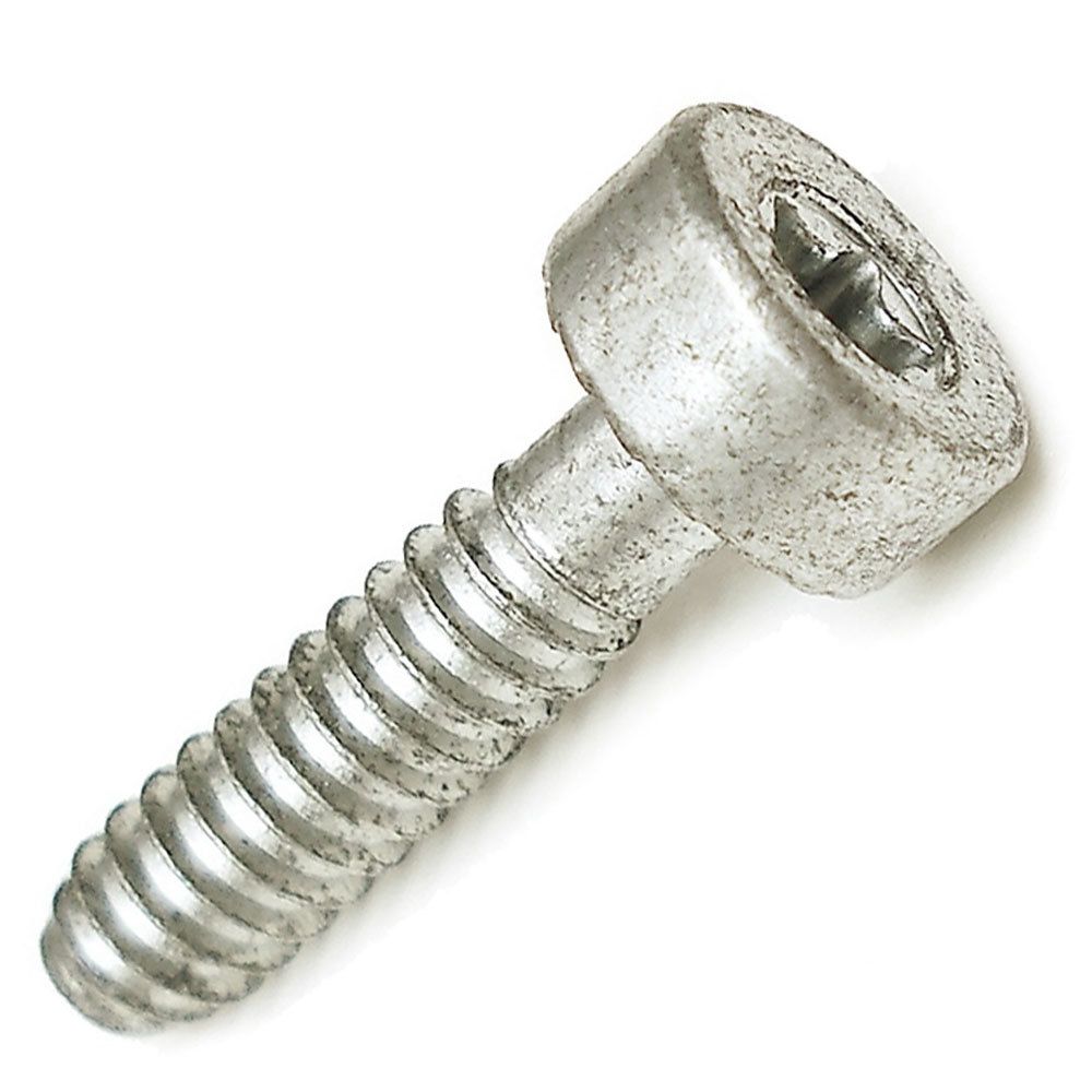 Stihl Pan Head Self Tapping Screw IS D5x20 for Chainsaws, Pole Pruners ...